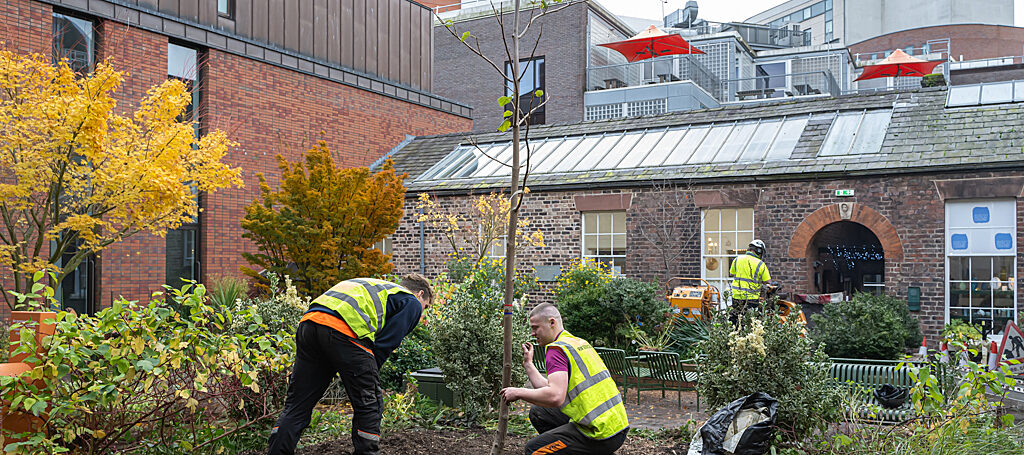 Bluecoat | Bluecoat marks National Tree Planting Week with three new…
