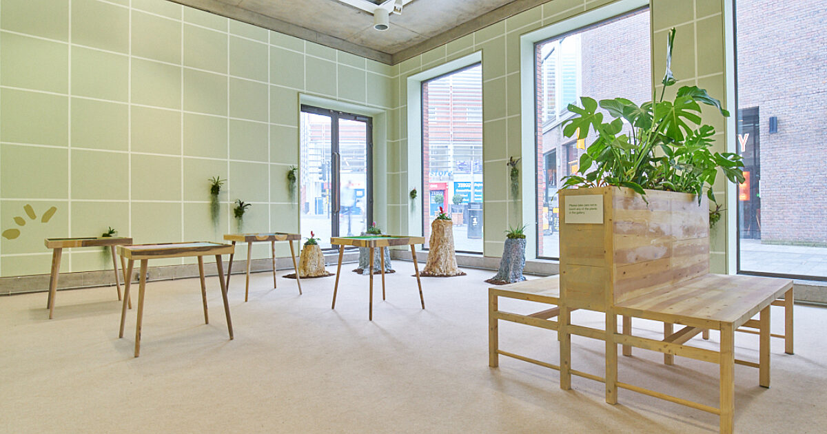 Bluecoat | Frances Disley: Pattern Buffer