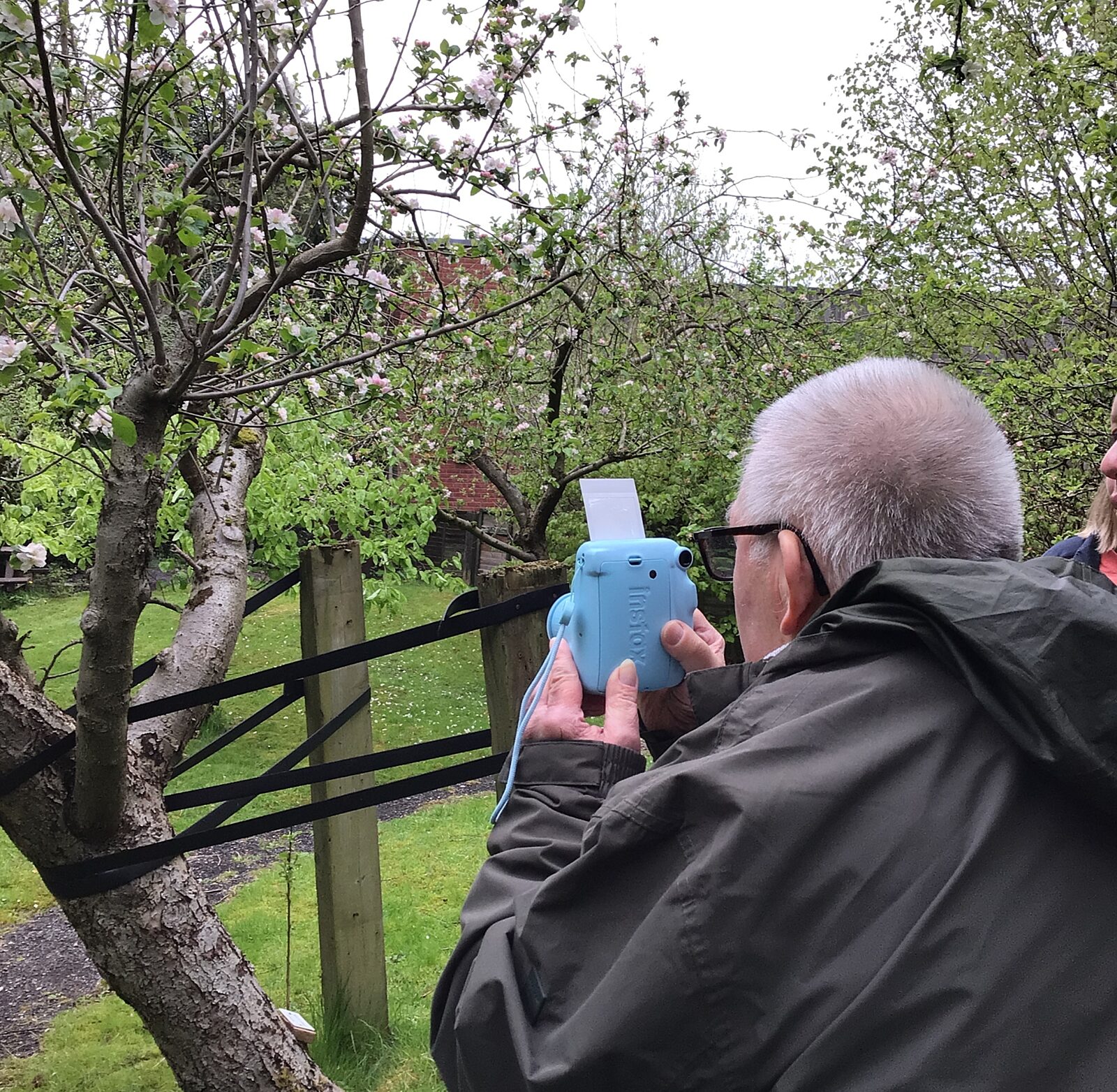Bluecoat | Under the Apple Tree