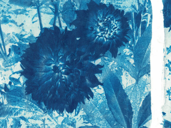 Bluecoat | What's On