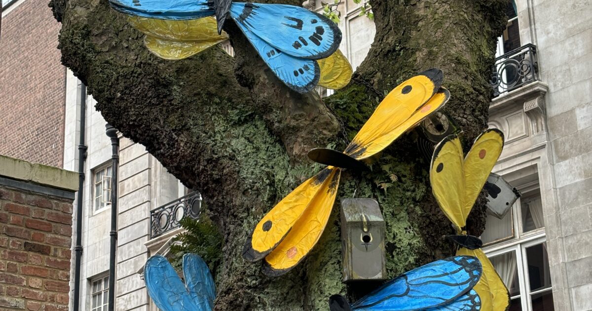 Bluecoat | Flying high with Andrea Ku