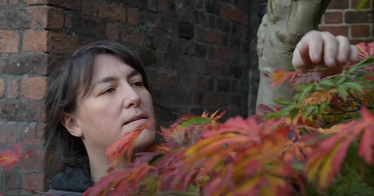 Bluecoat | Andrea Ku: Bluecoat Gardener in Residence